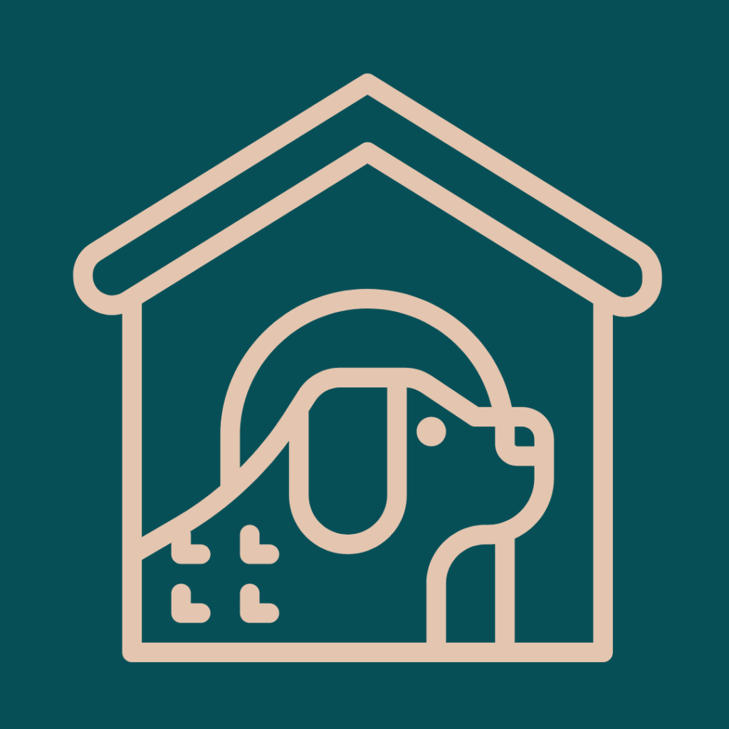 KM Pet Solutions – Pet care services